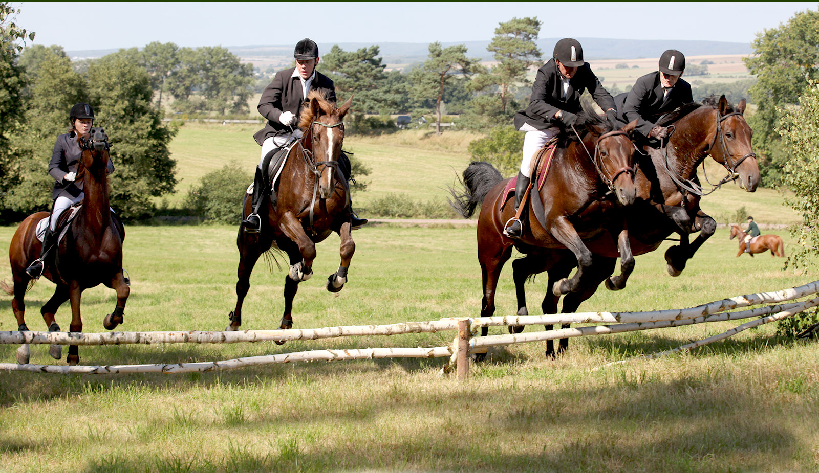 Tabarzer SV :: Abteilungen :: Reitsport